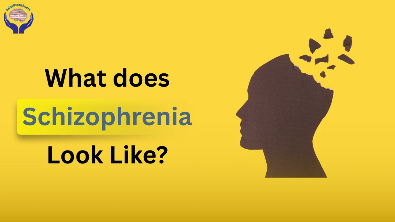 What does Schizophrenia Look Like? - Tulasi Healthcare